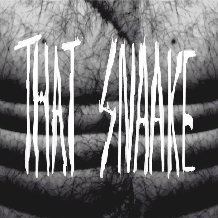 That Snaake – Go Bricker (AKA At Swim One Stone) EP | Echoes And Dust