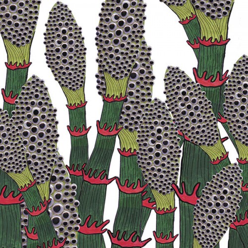 Talking Yerkish: Chad Murray Gets Primatial With Part Chimp | Echoes ...