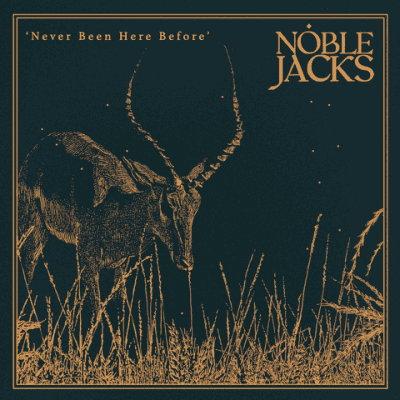 Interview: Mirza Ramic from Arms and Sleepers | Echoes And Dust